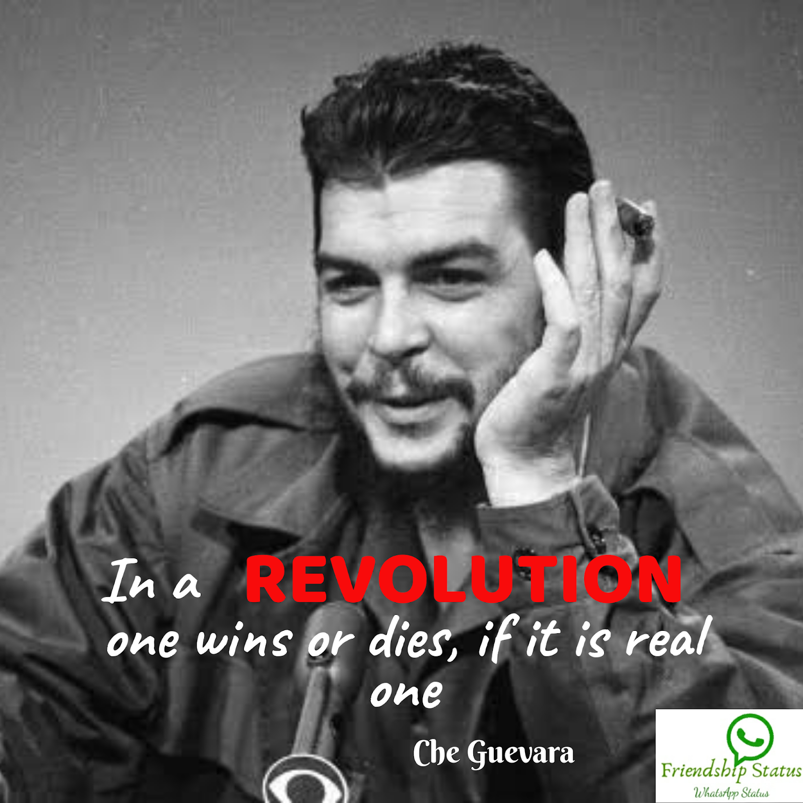 Best 25+ Most Inspirational Che Guevara Quotes