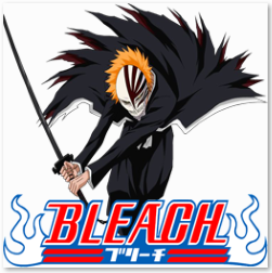 Folder Icon Anime Bleach