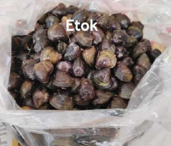 Anim Agro Technology: ETOK - APA DIA?