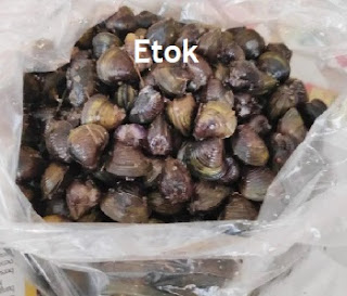 Anim Agro Technology: ETOK - APA DIA?