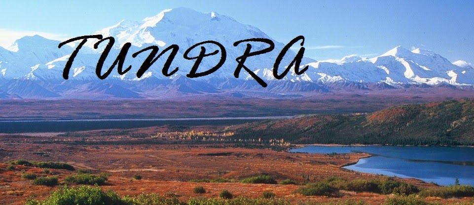 Tundra