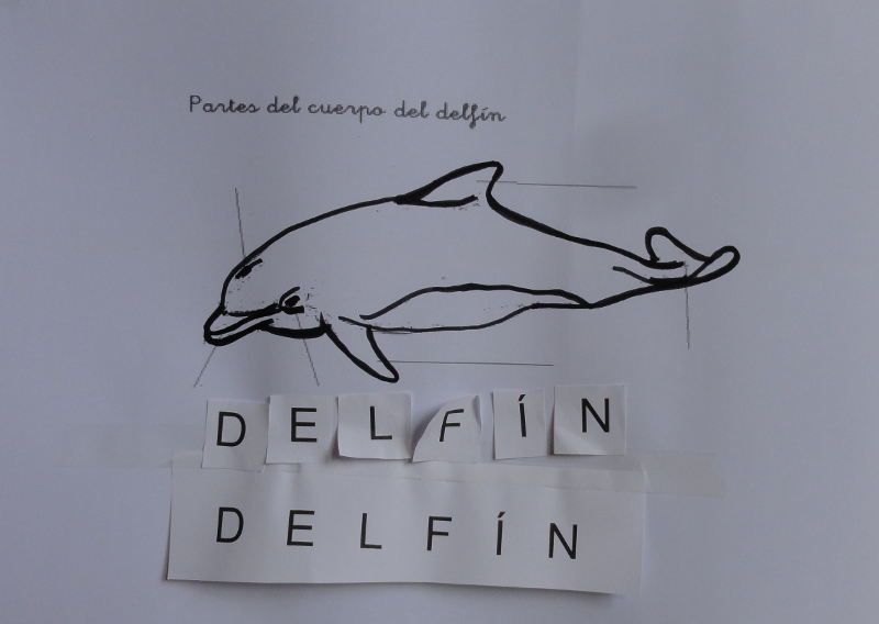 nubenubita: enero 2016