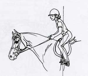 Pure Ponies: The two point position (jumping position)