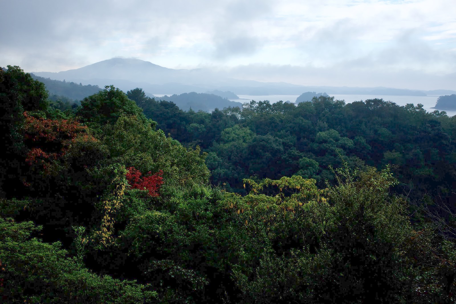OISHII!: Islands of Amakusa