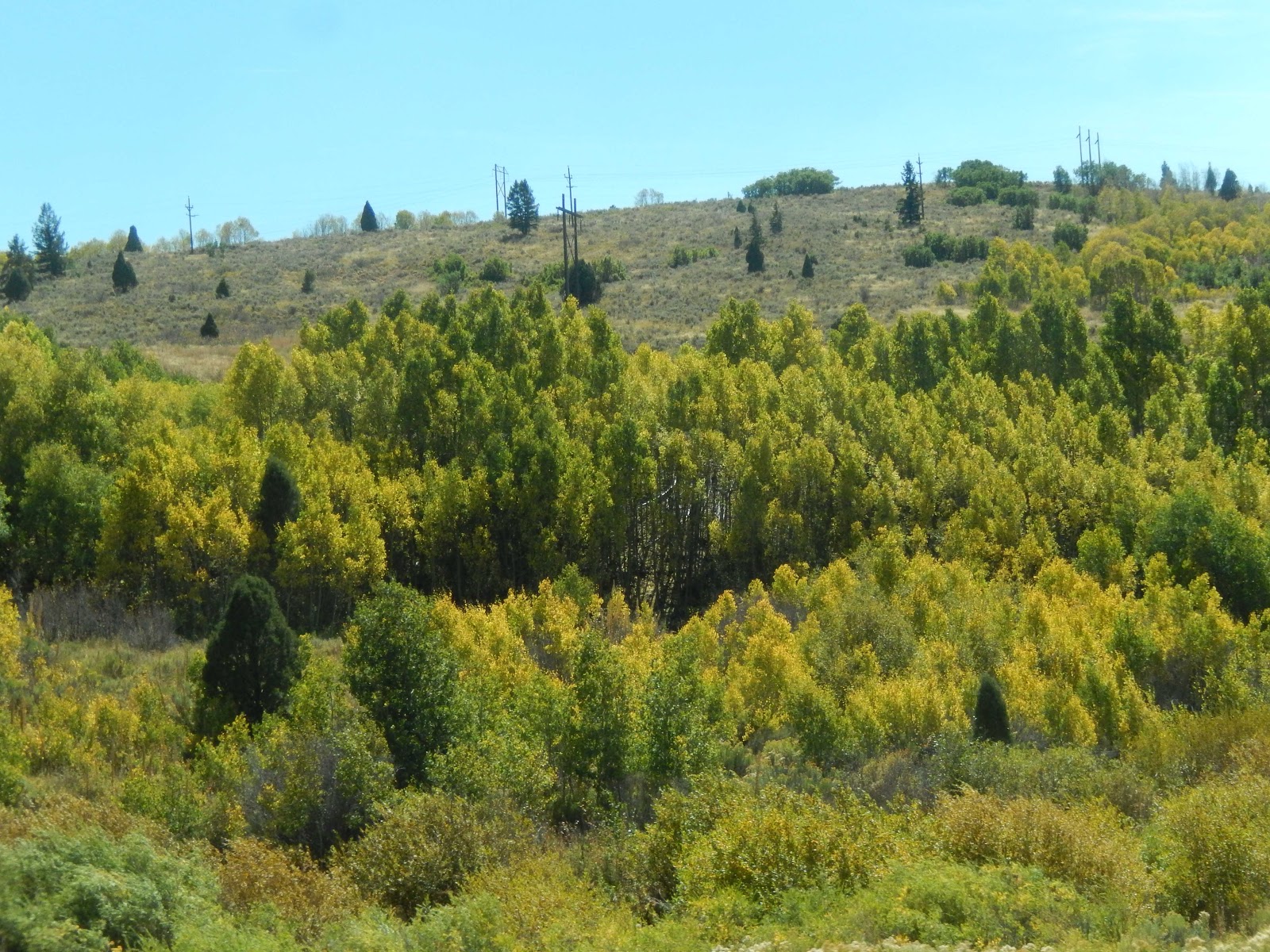 Cat Patches: Moab! We're Here!