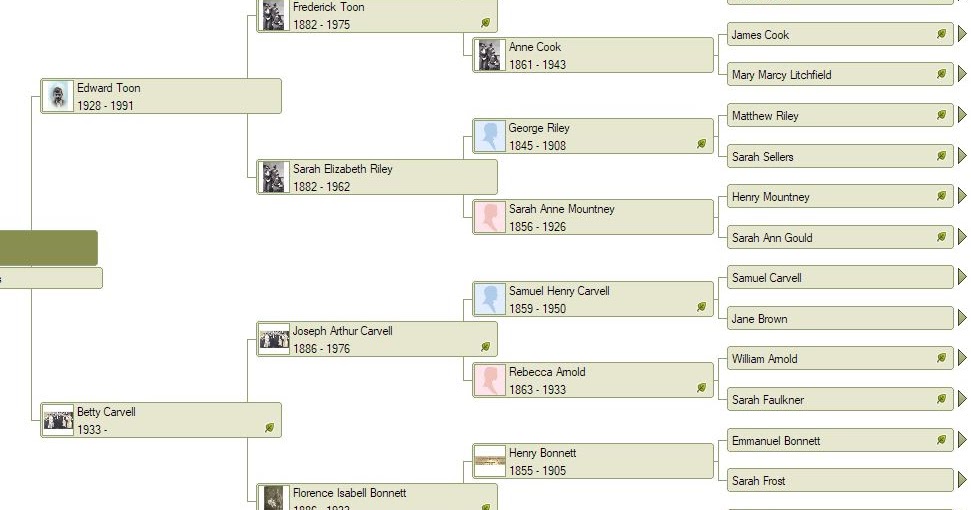 It's all relative(s)!: My direct ancestors