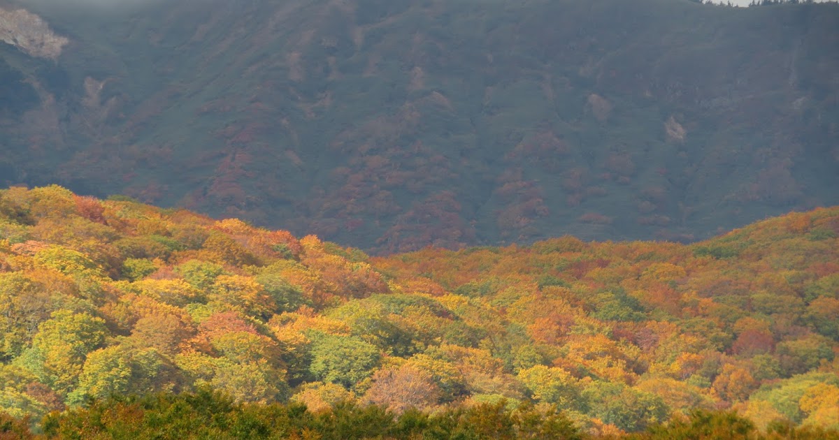 箒場便り: 営業期間のお知らせ