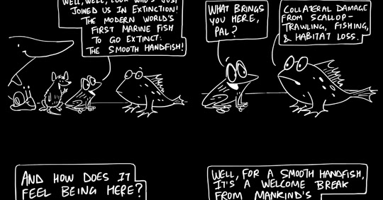 Green Humour: Smooth Handfish