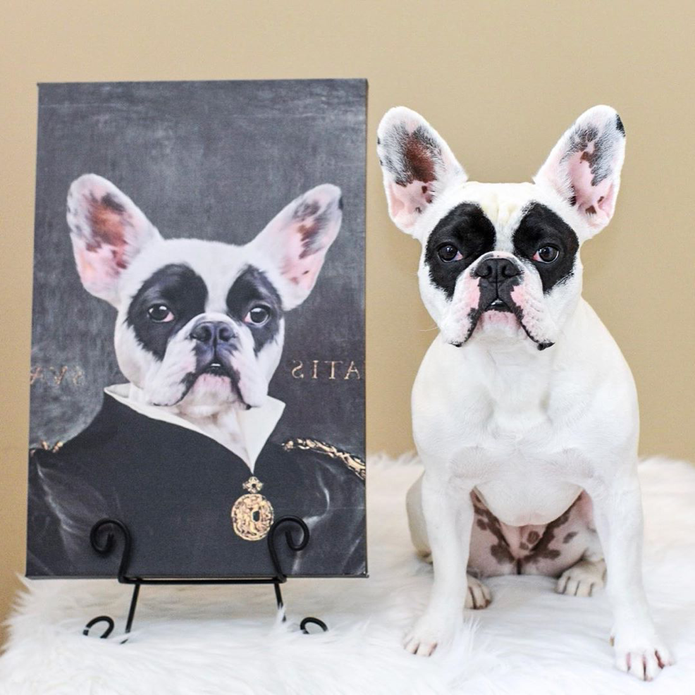 Inspired by Savannah: Turn Your Pet's Picture Into a One of a Kind ...