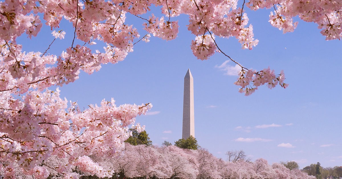 American Spring – Preamble