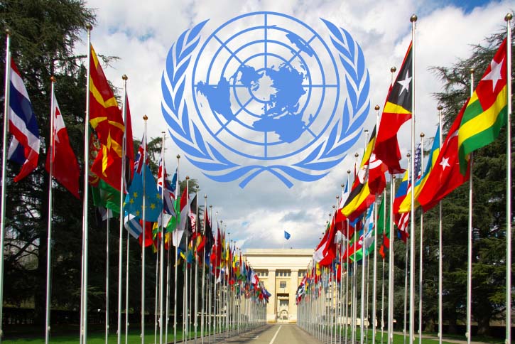 United Nations and its Organizations Class 12th Notes