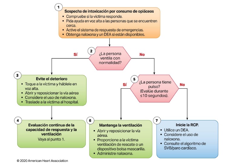 Actualización AHA 2020