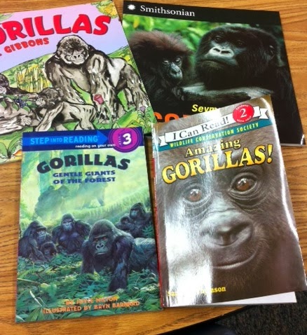 An Apple For The Teacher: Learning About Gorillas And Text Structures