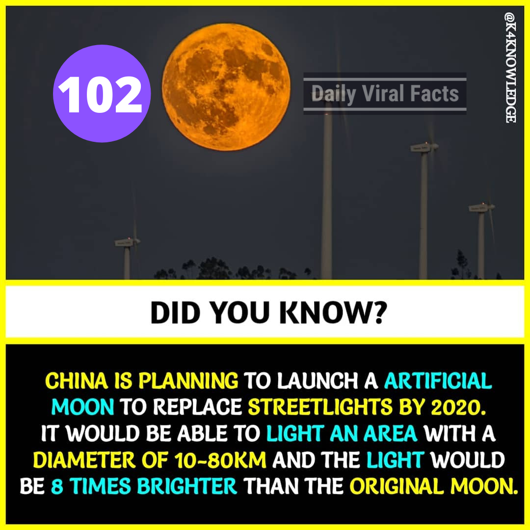 [100+] Amazing Facts That You Should Know #7