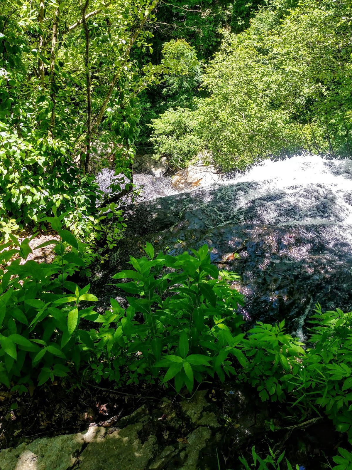 Another Mile Another Destination Blog: Issaqueena Falls, Walhalla ...