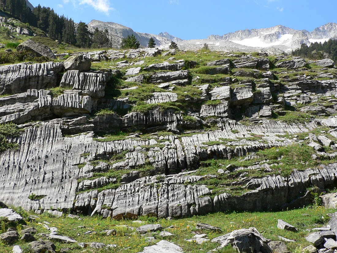 CURIOSIDADES CIENTÍFICAS : Lenares o Lapiaces