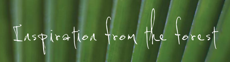 Island Life: Forest Inspiration