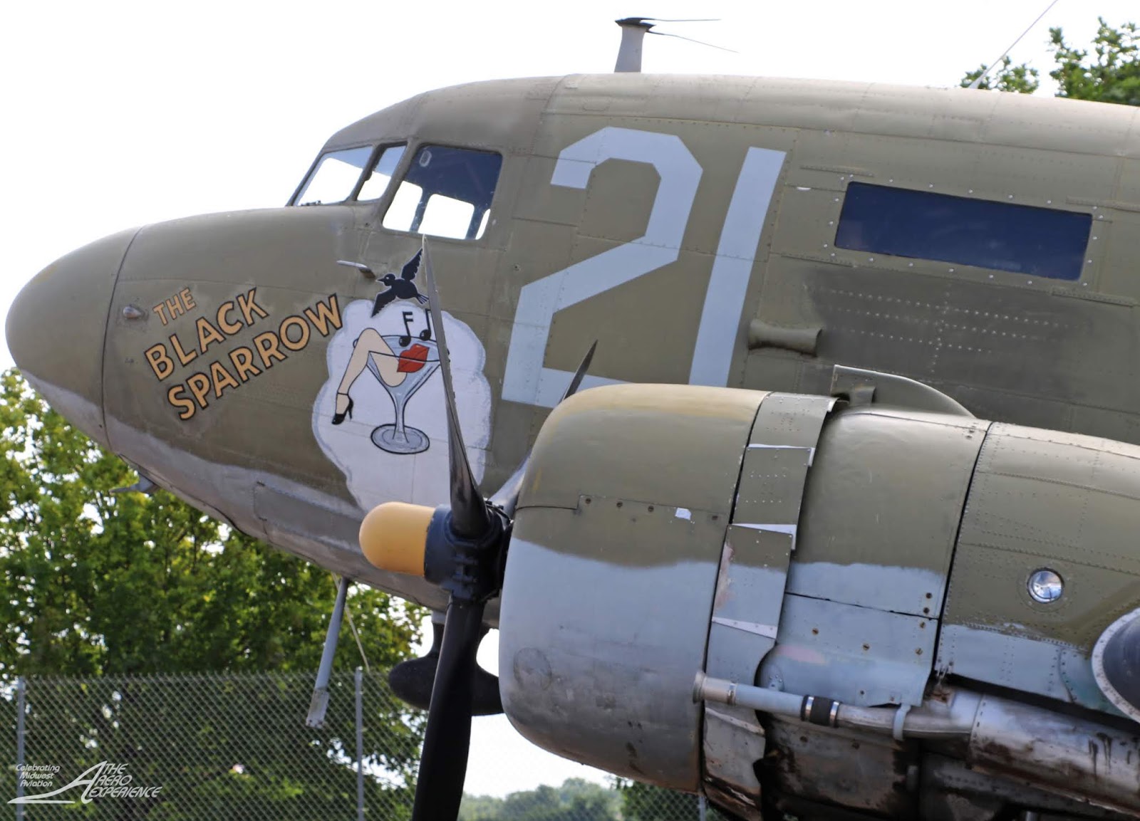 The Aero Experience: Basler Turbo Conversions: Where DC-3s Get a New ...