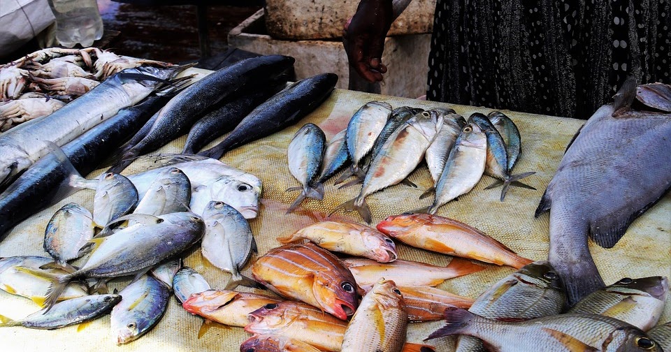 Waste management : How To Manage Waste Generated In The Fish Market?