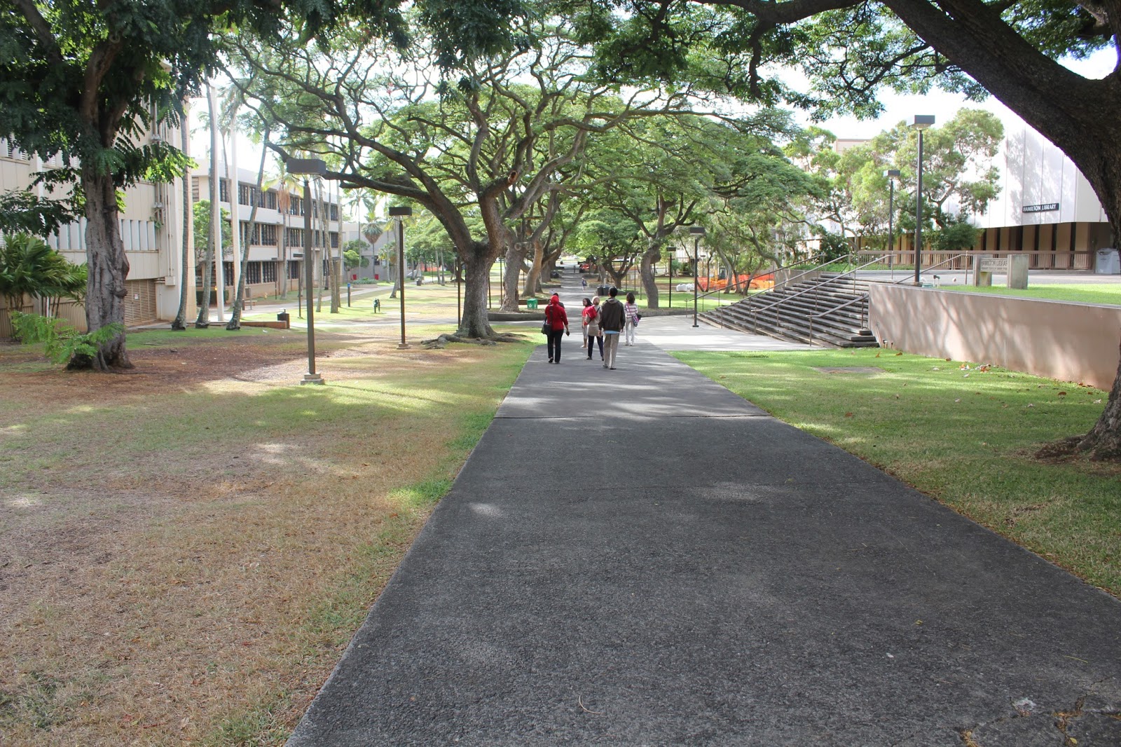 Hamilton Library at UH Manoa - Honolulu ~ Deep Blue Sea