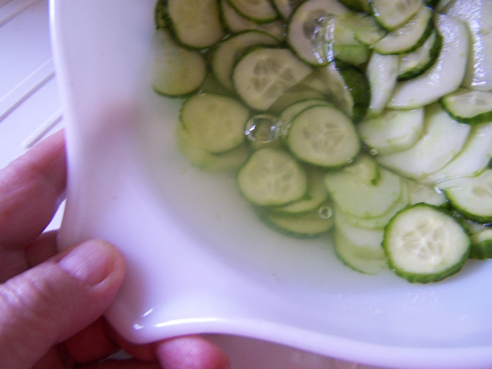 Somethings Old, New, Green, Redo!: Danish Fresh Dill pickles