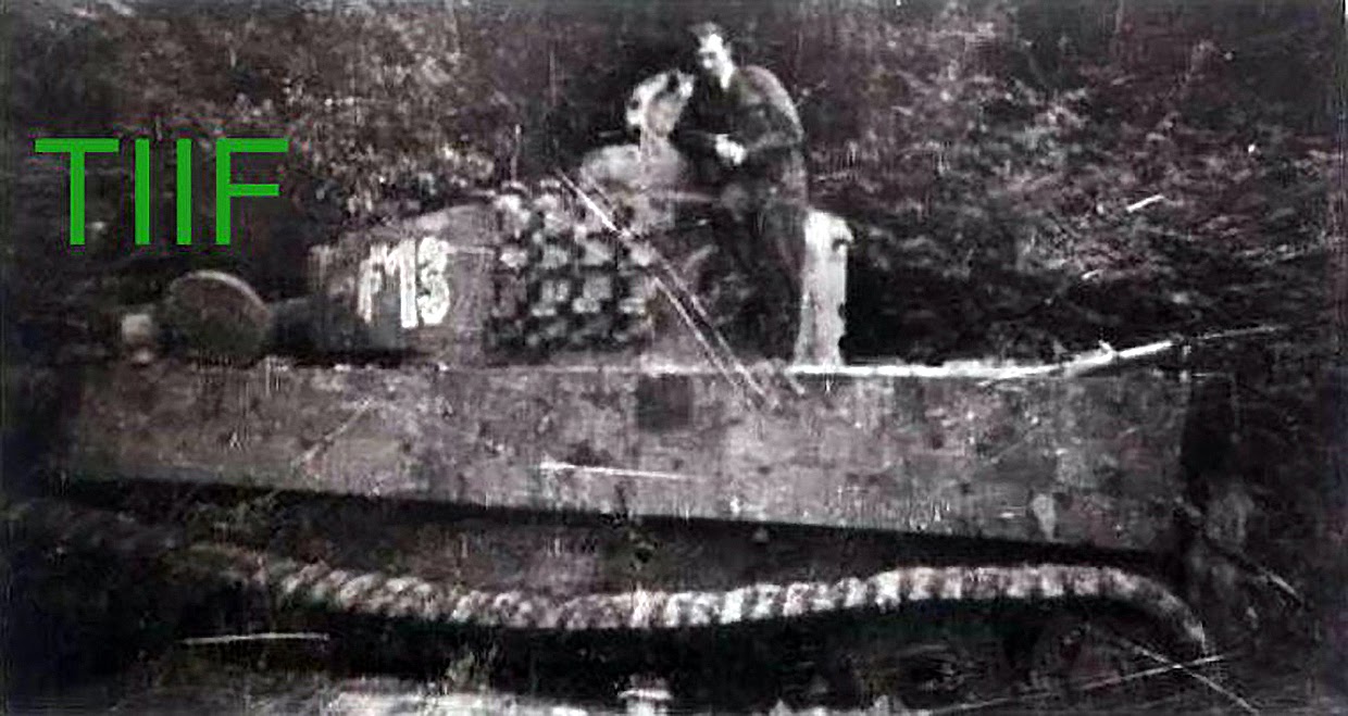 Fabrizio Pincelli: Tiger F13 Fehrmann