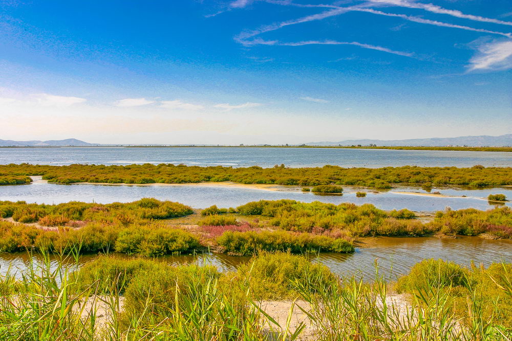 POESIA: Parc Natural del Delta de l'Ebre