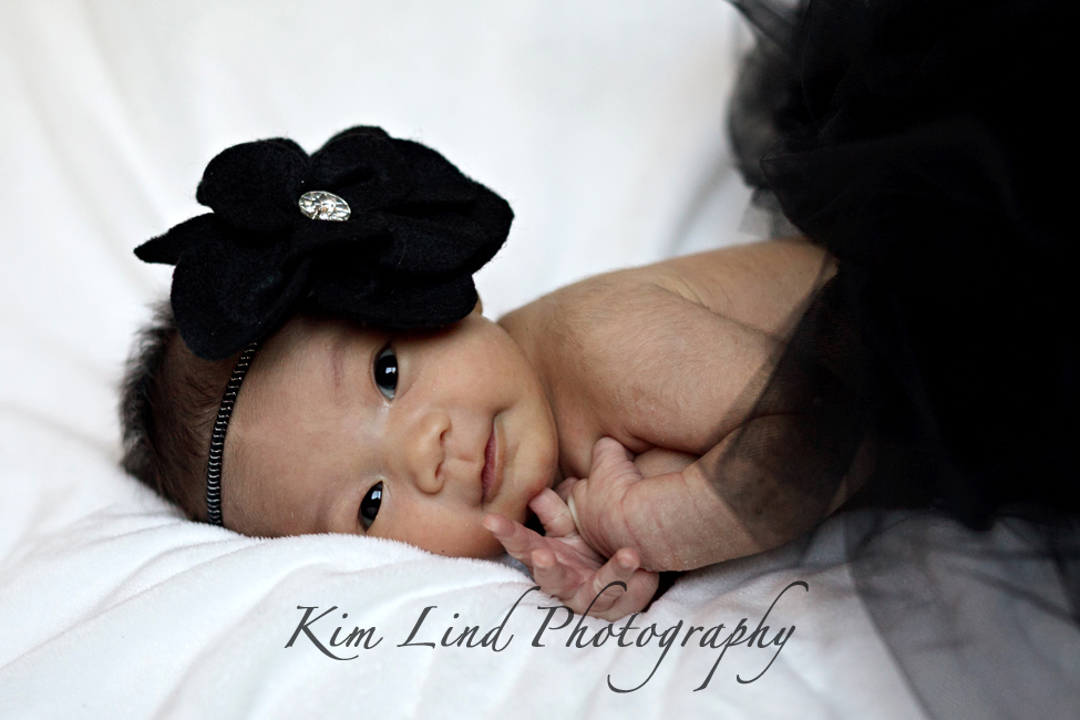 KIM LIND PHOTOGRAPHY {the blog}: Welcome, baby Aubree! | Kim Lind ...