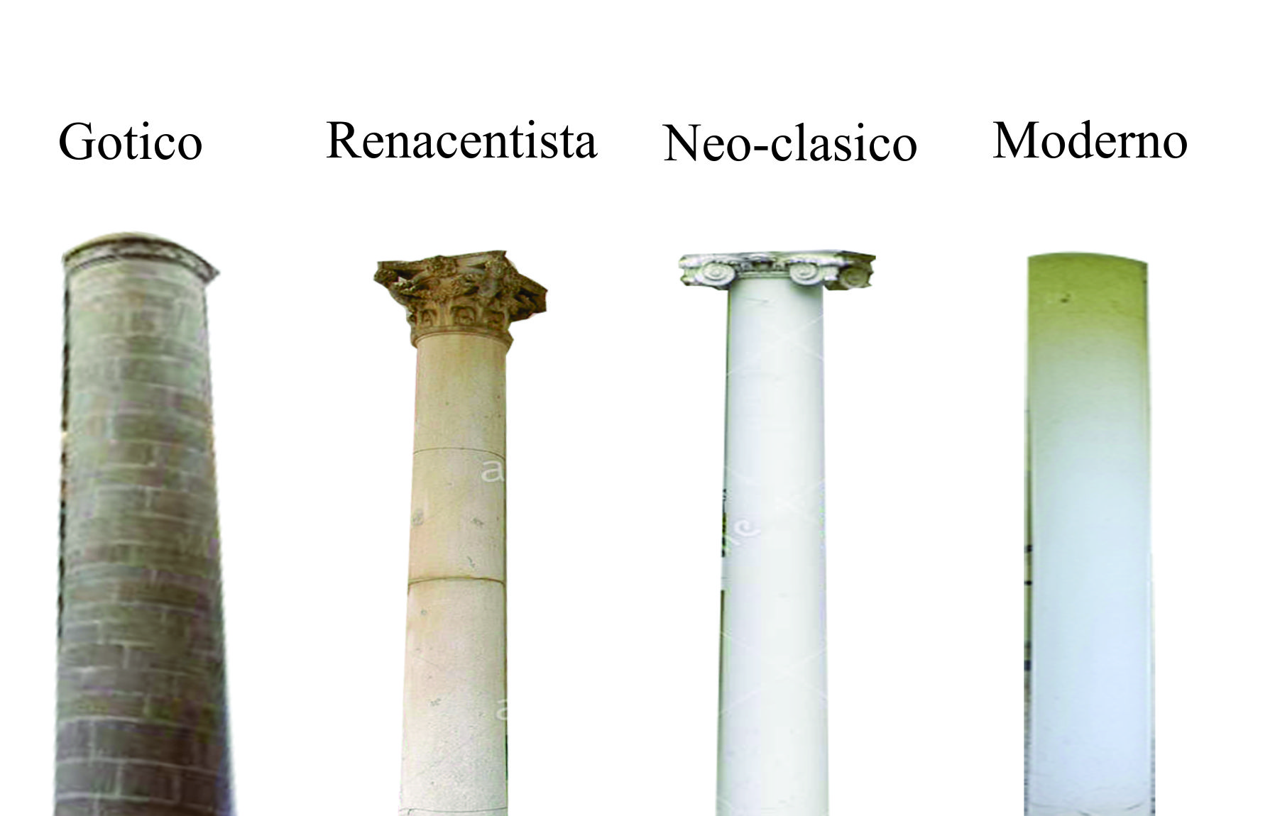 COLUMNAS Y SUS TIPOS