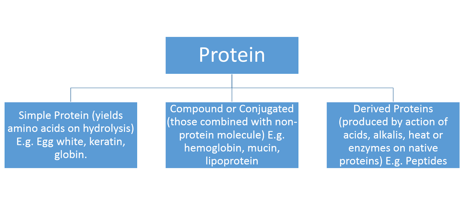 Macro Nutrients: Proteins - hmhub