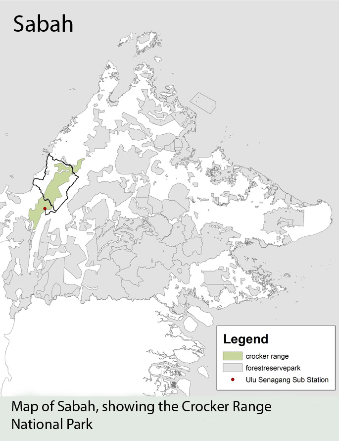 Bornean Clouded Leopard Programme: Volunteer field assistants needed ...