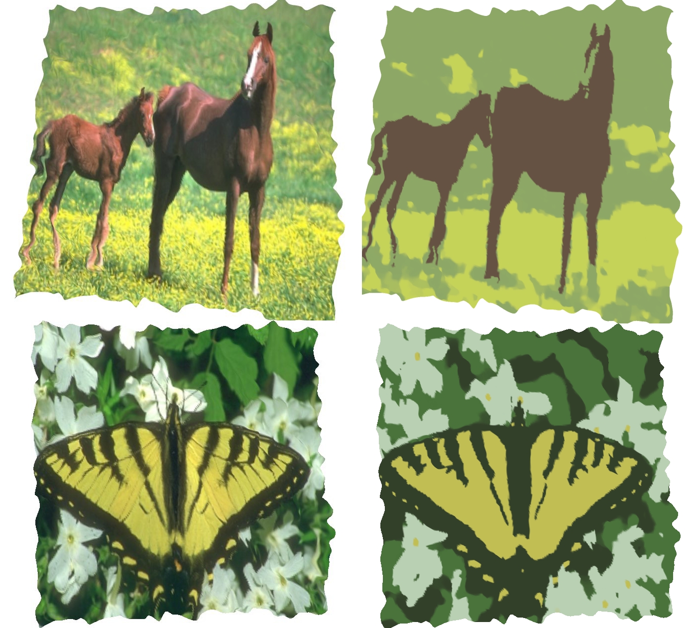 Image Processing And Pattern Recognition (BITI3313): Region Segmentation