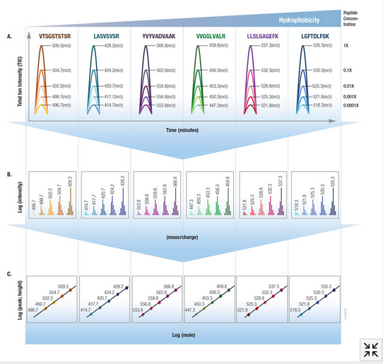 News in Proteomics Research: Easily test the dynamic range of your ...