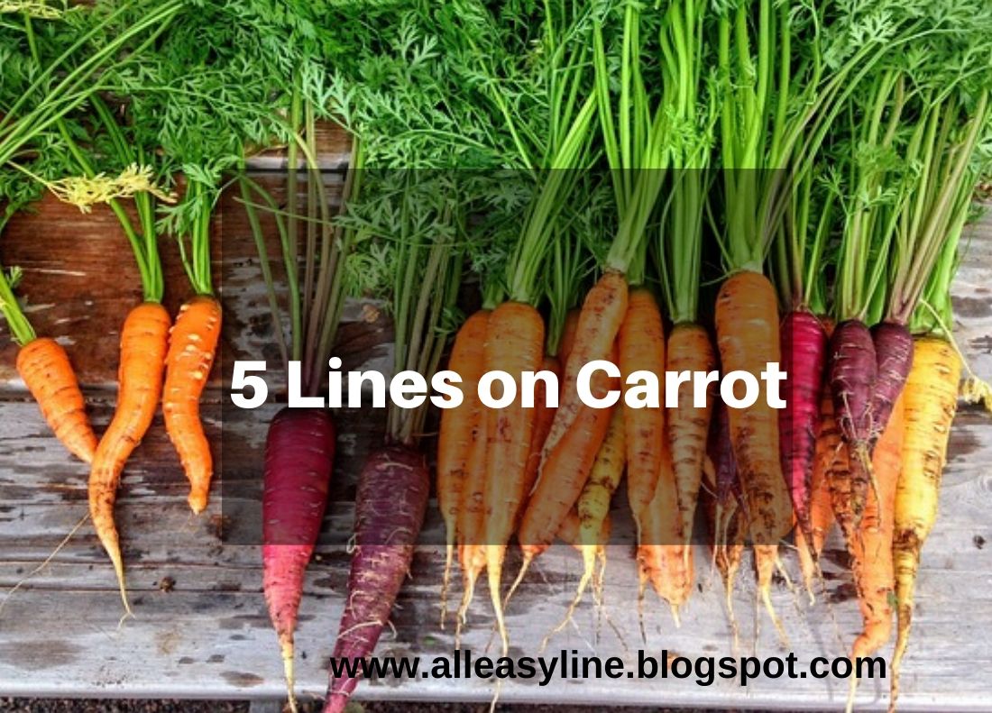 5 Lines on Carrot in English | Few Lines on Carrot