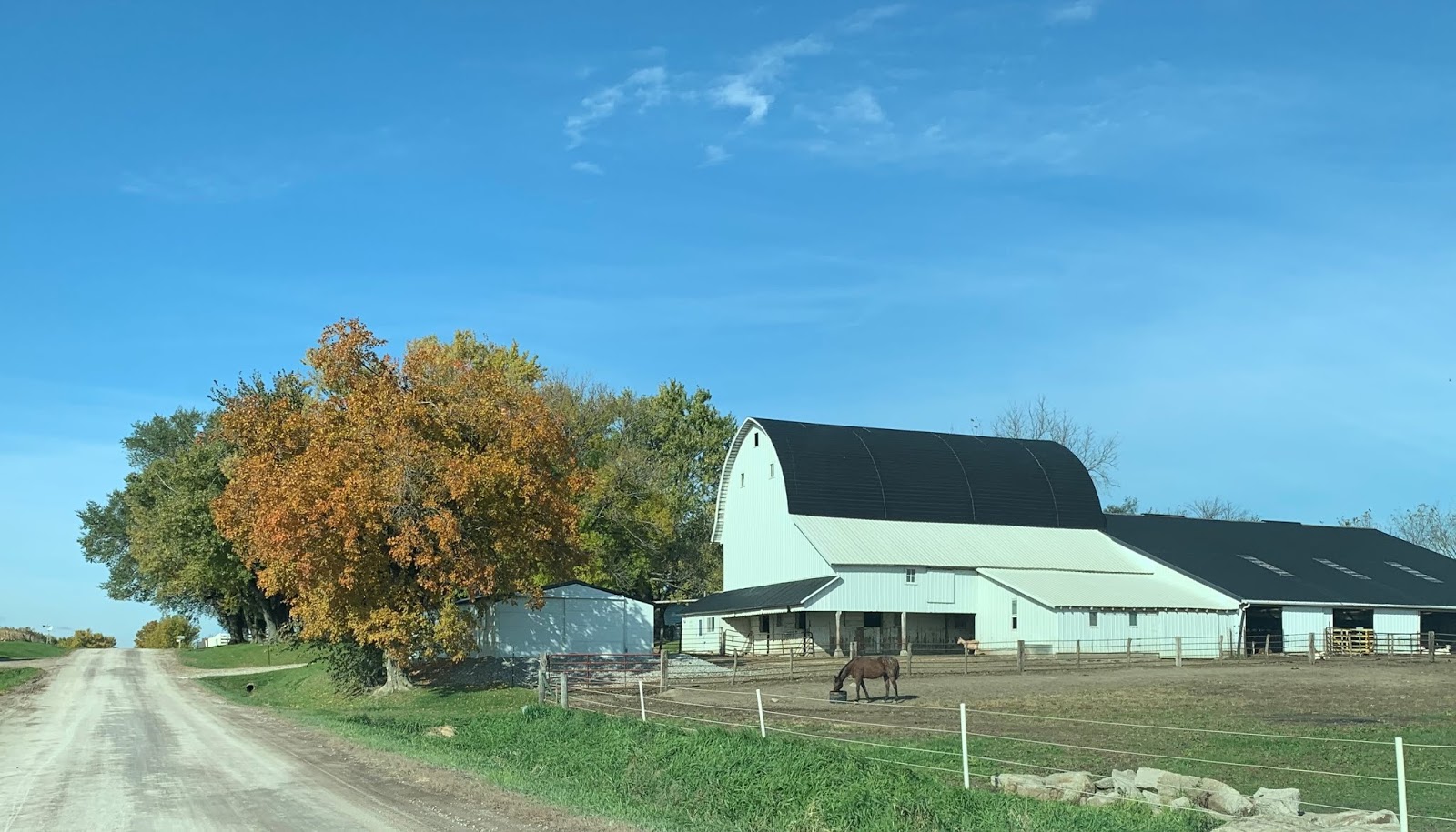 Amish Horses: Amish Farm Fall Tour