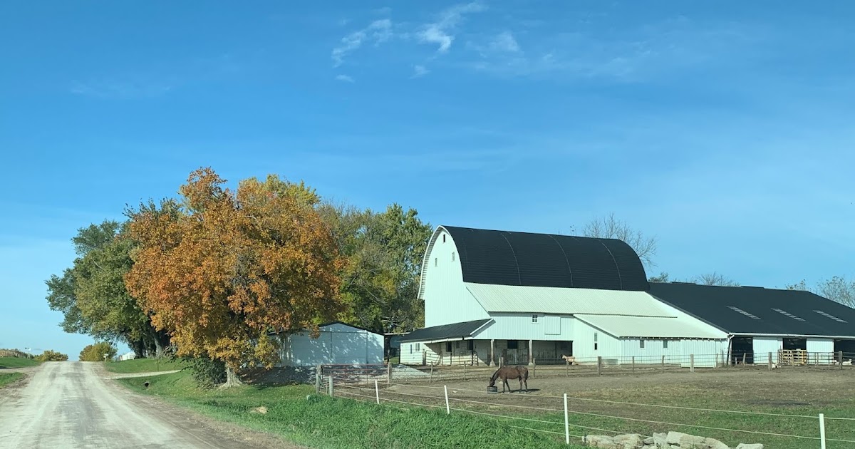 Amish Horses: Amish Farm Fall Tour