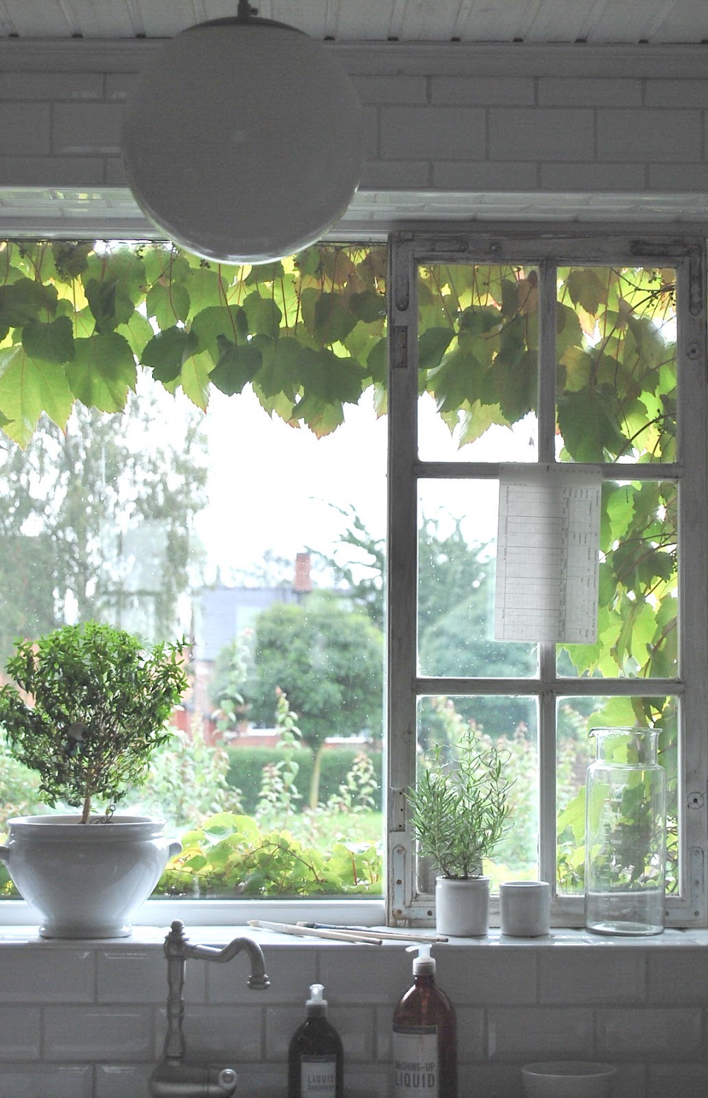 pretty windows on Pinterest