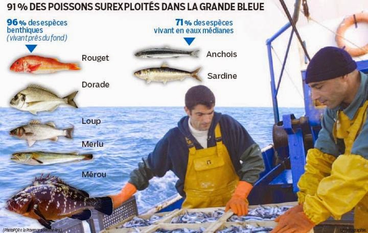 Nature alerte: 24/01/2015...35 faits terrifiants qui vous alarmeront ...
