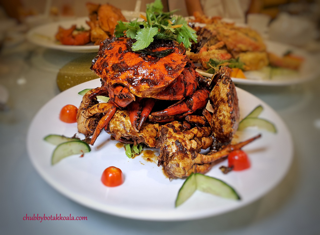 Chubby Botak Koala - Singapore Food Blog, Travel and Lifestyle: Diamond ...