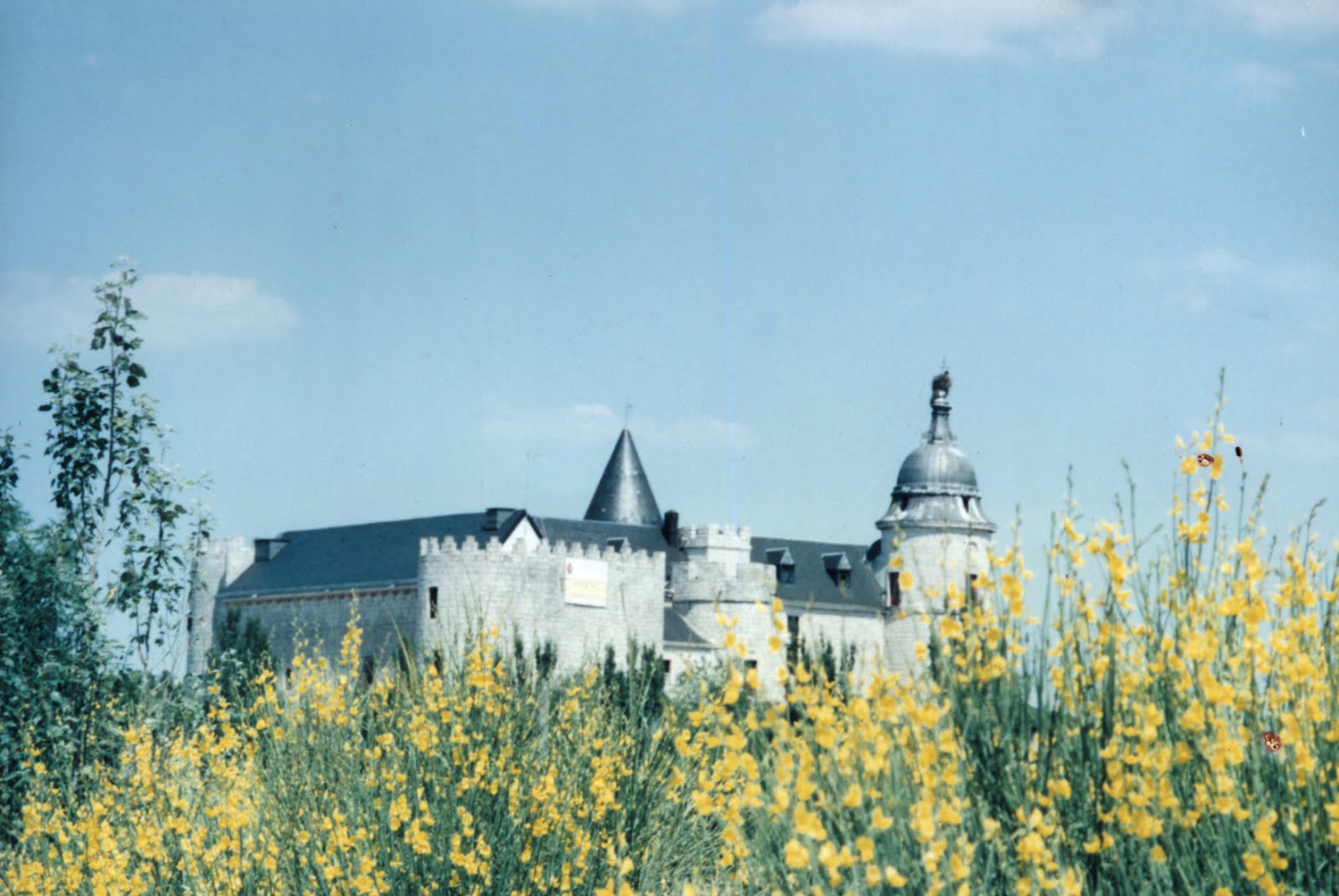 John Fleury: Los Hermanos Trejo