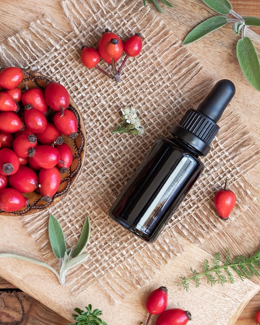 Benefits and uses of Rosehip oil for your skin | Melody Jacob