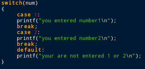 computer express: C programming Language Code Examples-switch(8)