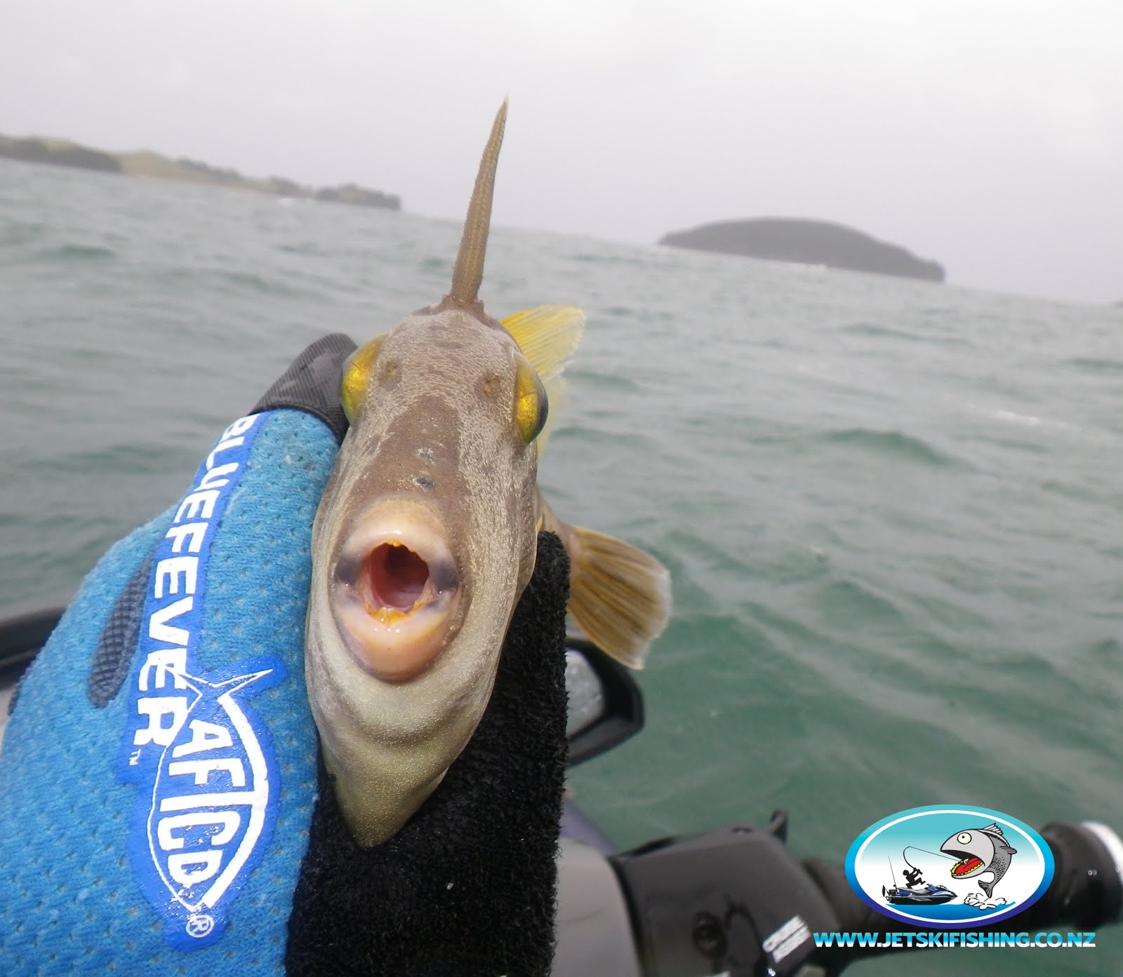 Jet ski fishing Blog: June 2011