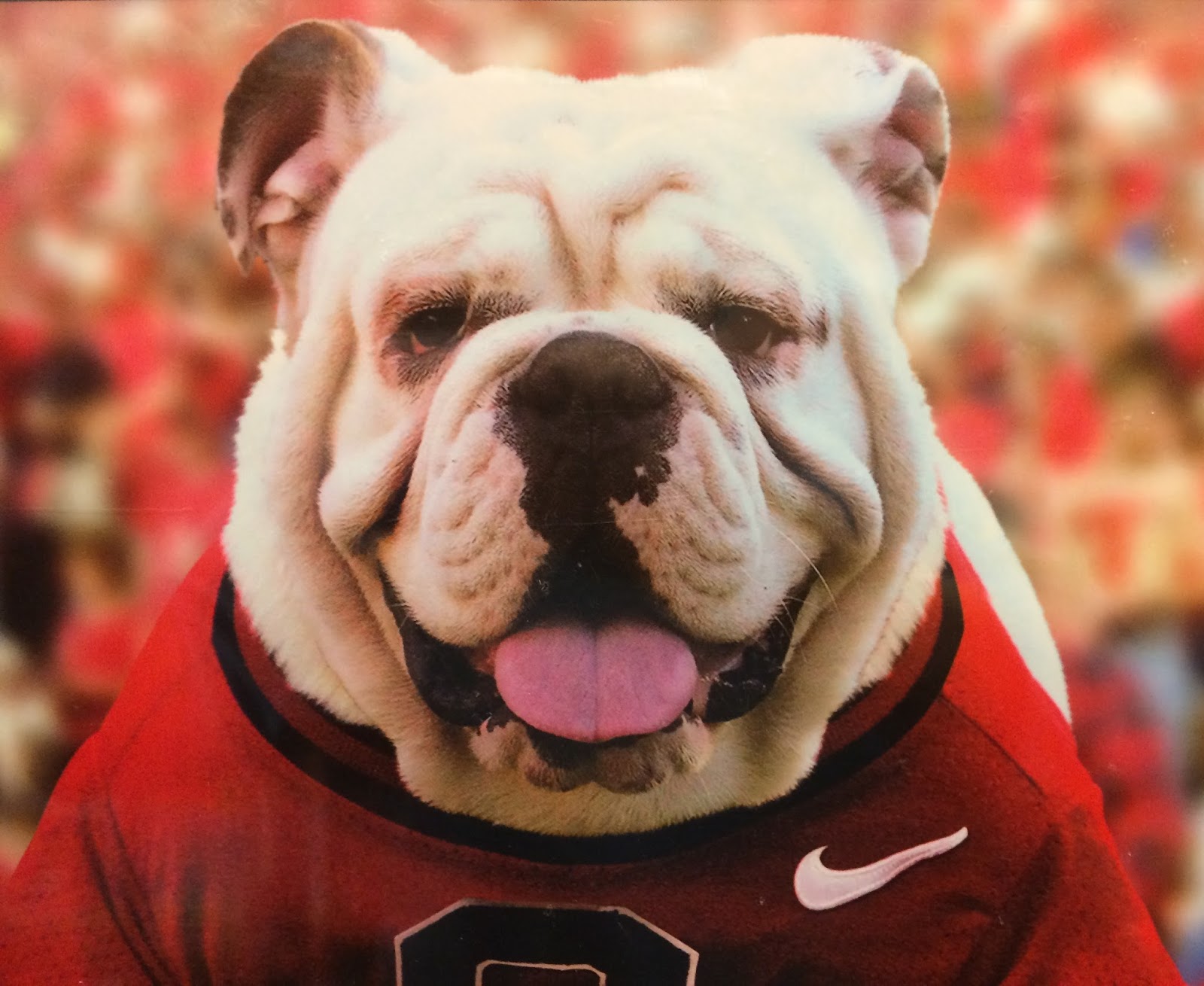 Chicks Dig Diamonds & Dugouts