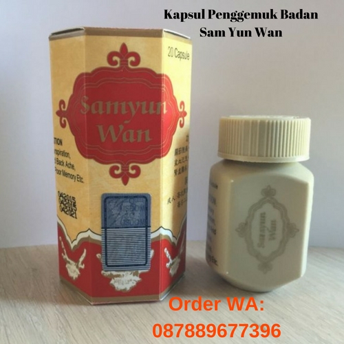 Jual Samyun Wan Obat Herbal Cina Penggemuk Badan