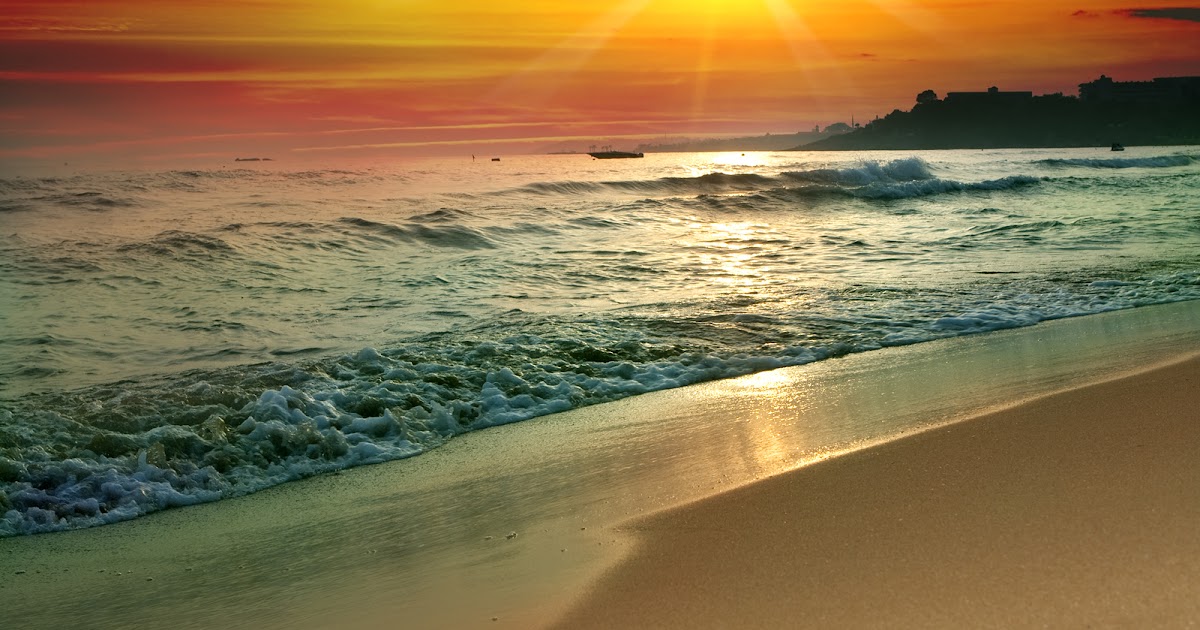 Grand Solmar Timeshare: Grand Solmar Timeshare Reviews Top Sightseeing ...