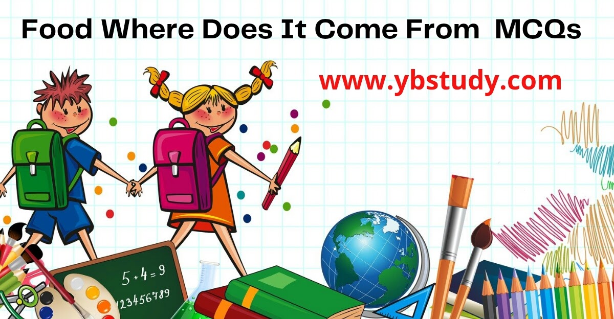 Food Where Does It Come From Class 6 MCQs With Answers YB Study food-where-does-it-come-from-class-6-mcqs-with-answers-yb-study