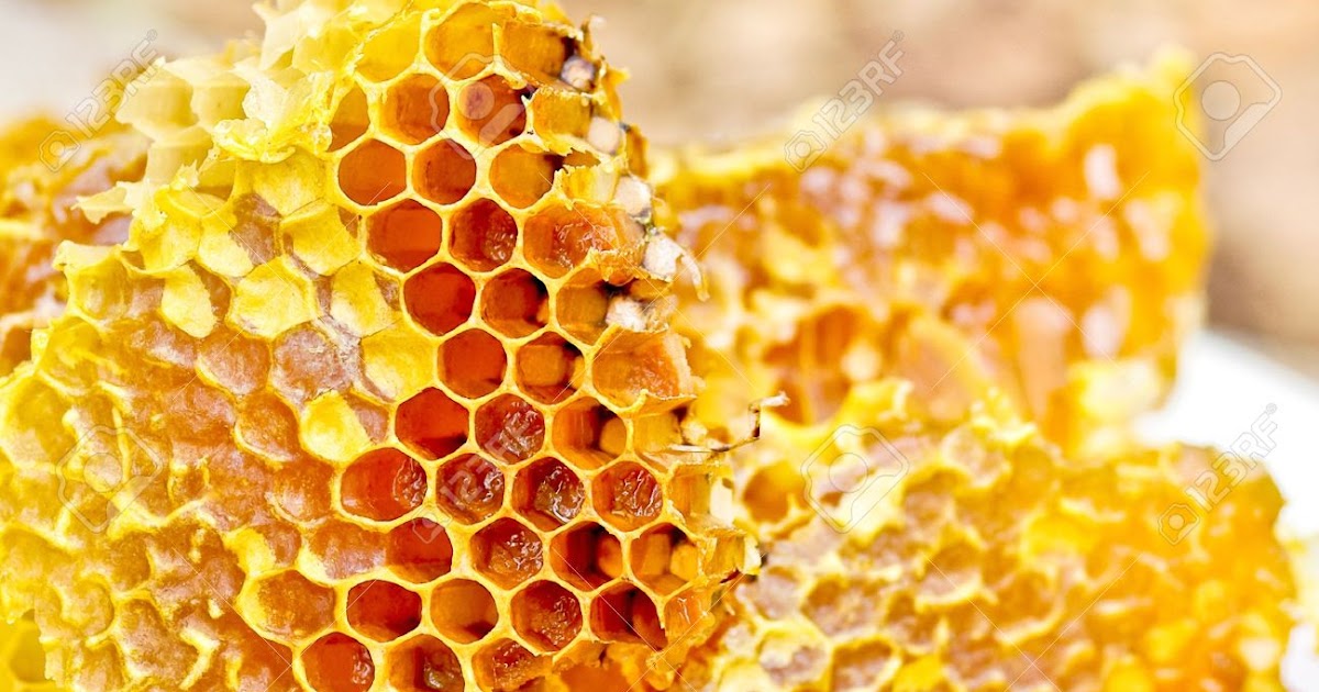 Best Things About Honeycombs