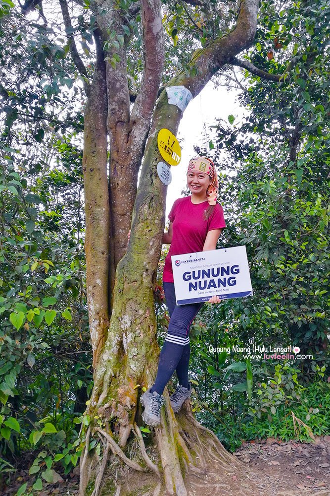Gunung Nuang (Hulu Langat) 重登封尘许久的【怒昂山】登顶梯子已经就位！ - 乐飞翎 ♥ LUVFEELIN