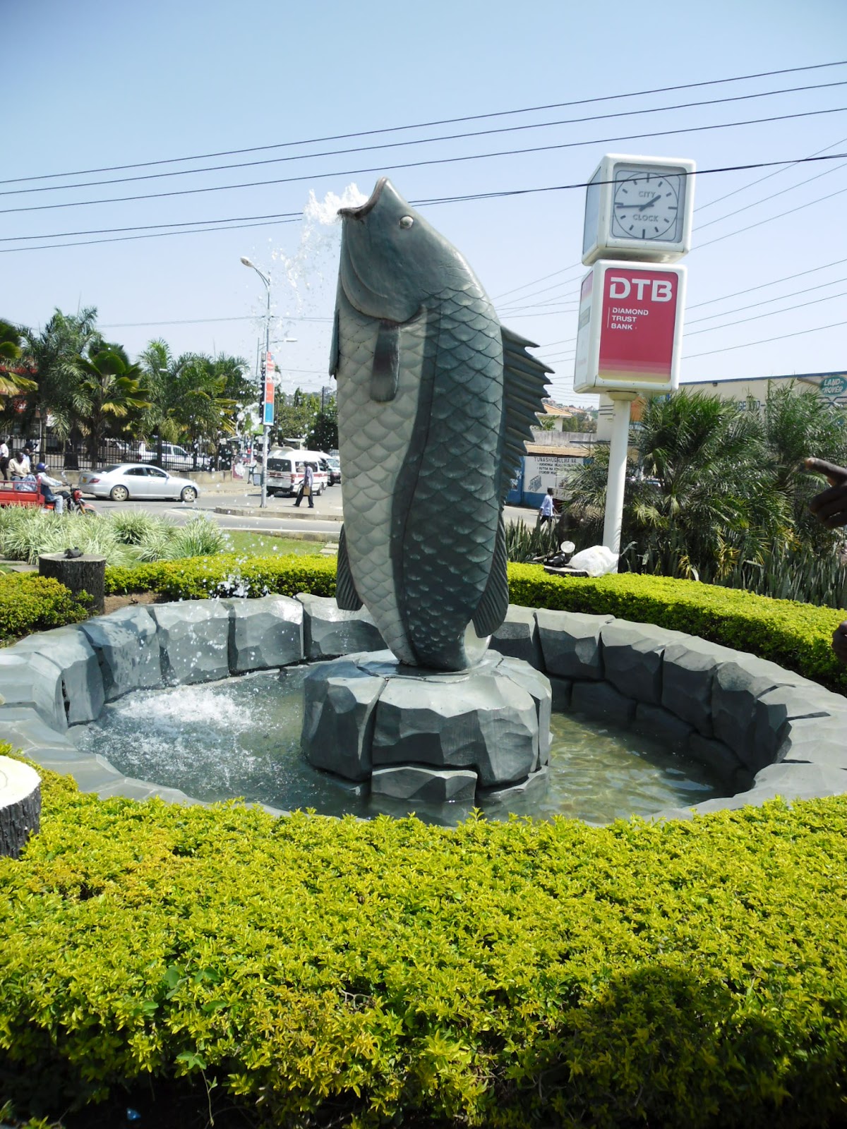 Vision Investments: 8th Local Government Day in Mwanza 2012